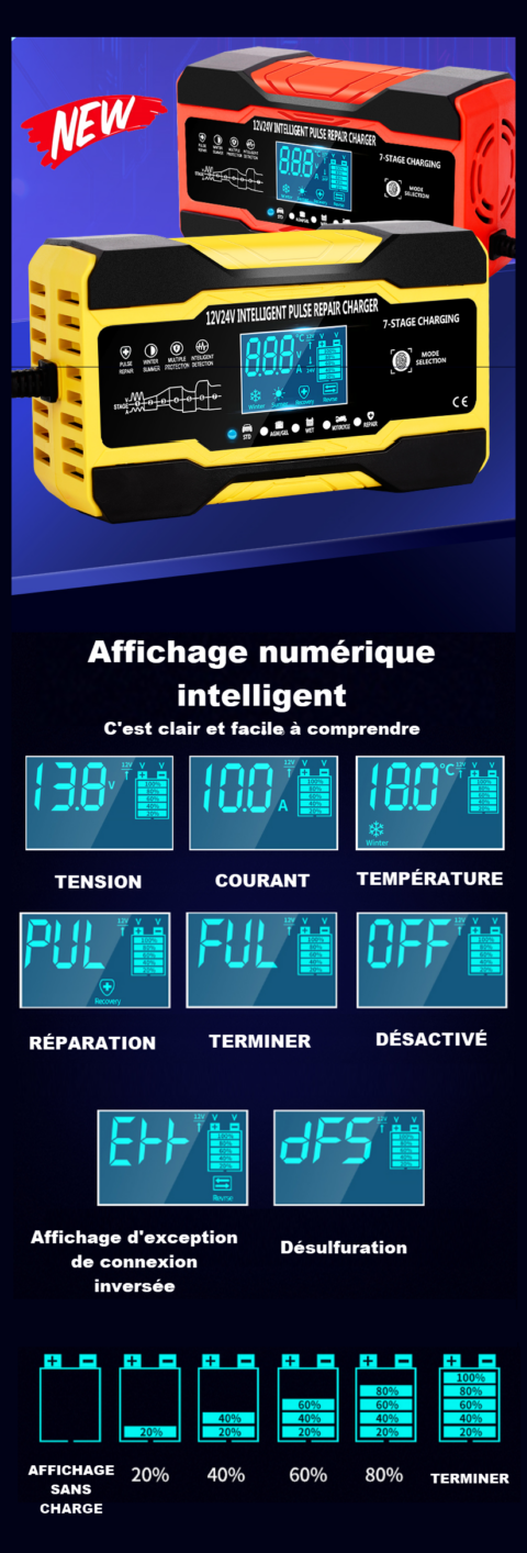 Chargeur de batterie automatique - C3 Pluriel