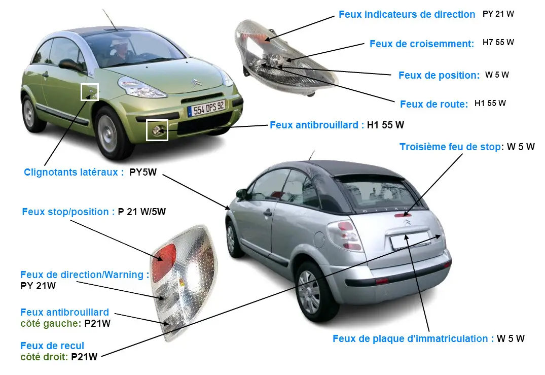 Quels sont les types de Lampes et ampoules pour C3 Pluriel - C3 Pluriel