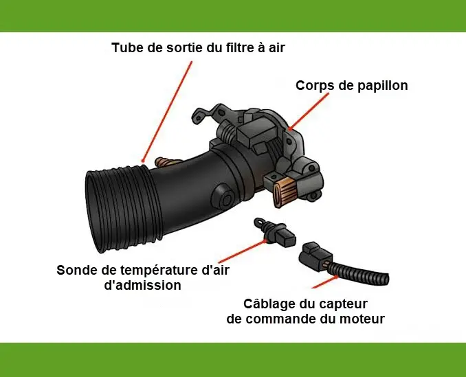 Les capteurs moteurs - C3 Pluriel