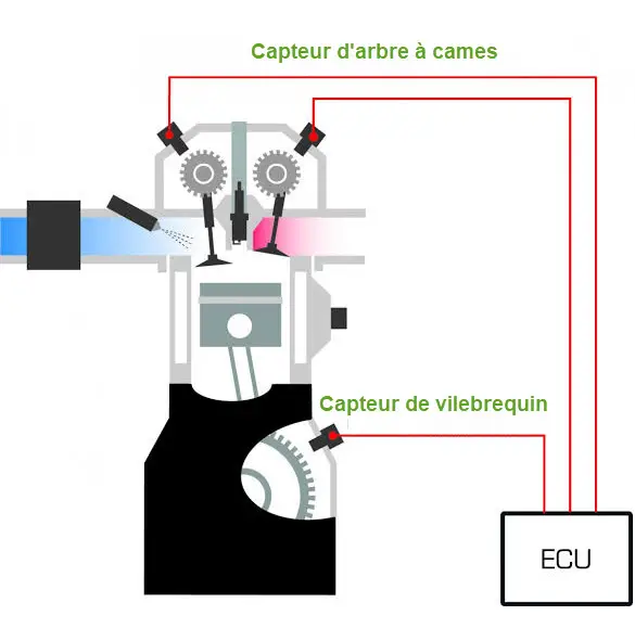 Les capteurs moteurs - C3 Pluriel